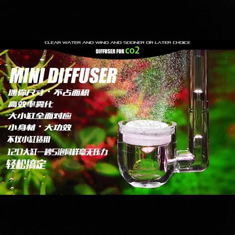 Co2 Diffuser Shrimpoly