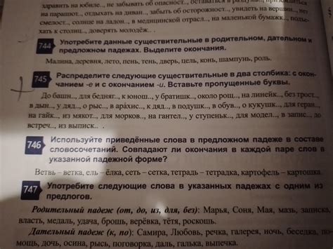 745 Распределите следующие существительные в два столбика с окончанием е и с окончанием и