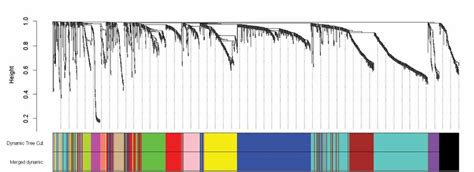 module hierarchical clustering tree to detect clusters horizontal