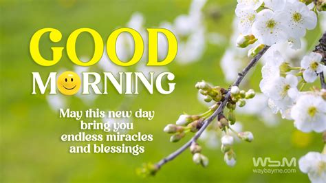 Images Good Morning With Flowers