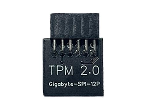 For GIGABYTE GC TPM SPI TPM Module Pin SPI TPM Trusted Platform Newegg Com