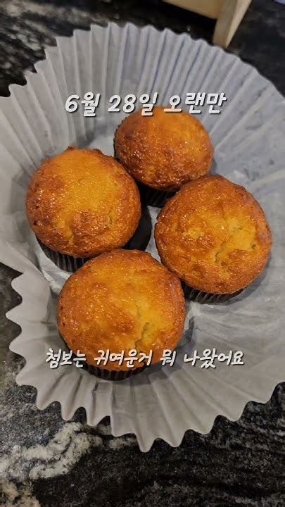 짧은감자 비오는 날은 자취 알바 브이로그 일상vlog 일기 기록 Youtube