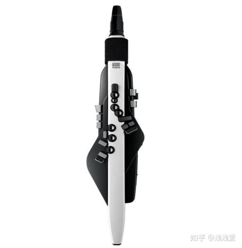 电吹管推荐2023年适合新手入门的电吹管购买品牌推荐 知乎