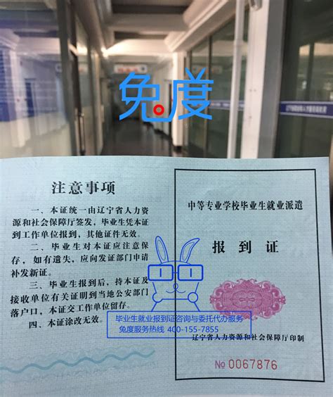 辽宁省中专毕业生报到证丢失补办改派代办服务 沈阳学信网