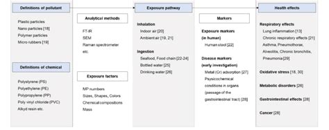 Summary Of The Systematic Review Human Exposure To Microplastics Mps