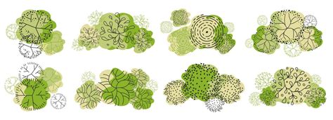 Tree For Architectural Floor Plans Entourage Design Various Trees Bushes And Shrubs Top