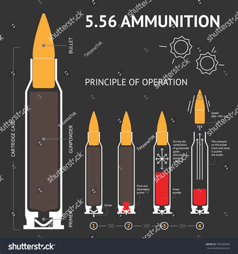 Infographics About Principle Bullet Operation Vector Stock Vector Royalty Free 559204600