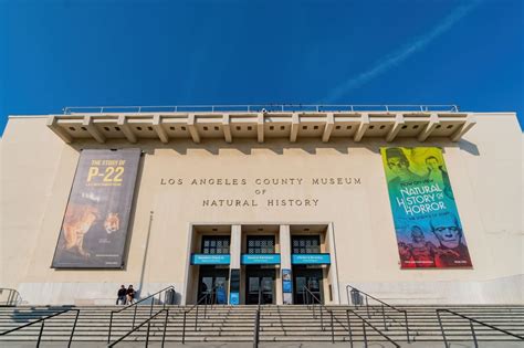 Top Museums And Galleries In Los Angeles Abc Moving Systems