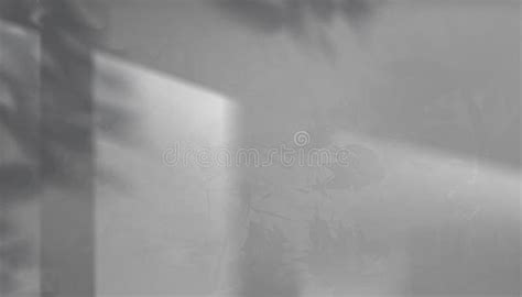 Wall Concrete Texture With Window Drop Shadowhorizon Display Grey Cement Texture Of Floor