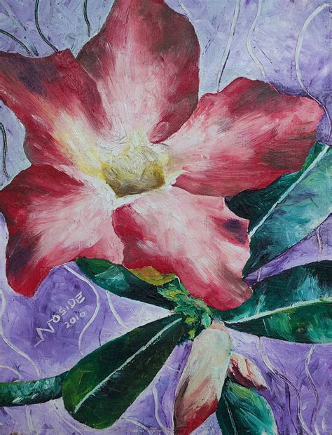 Kalachuchi By Noside17 On Deviantart