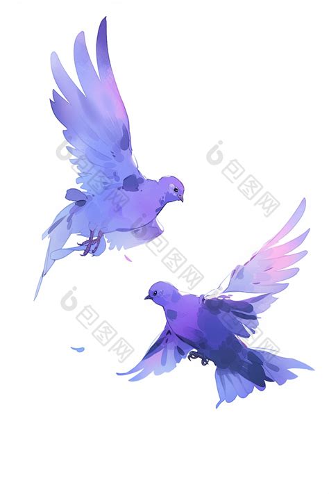 Png