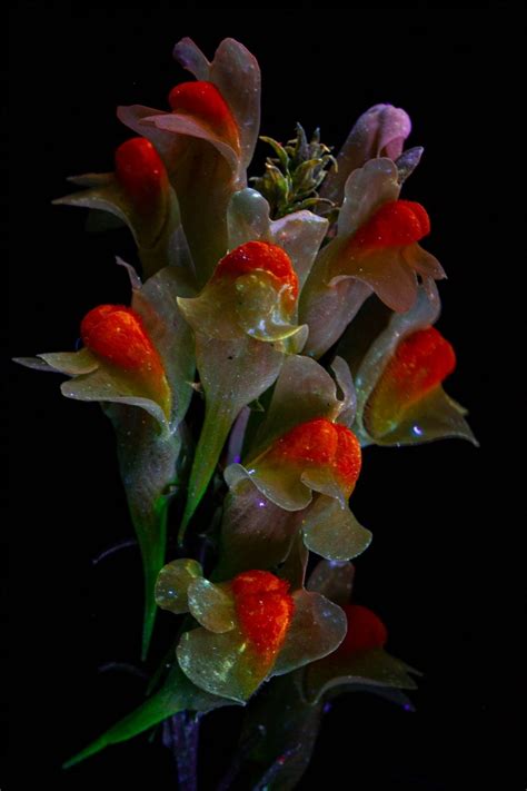 Round Four — Gloucester Camera Club