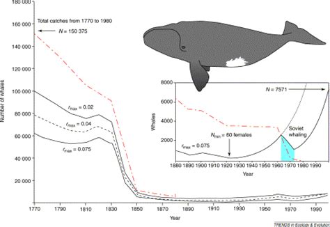 The Humpback Whale Population Graph