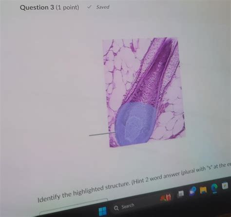 Solved Question 3 1 ﻿point ﻿savedidentify The Highlighted