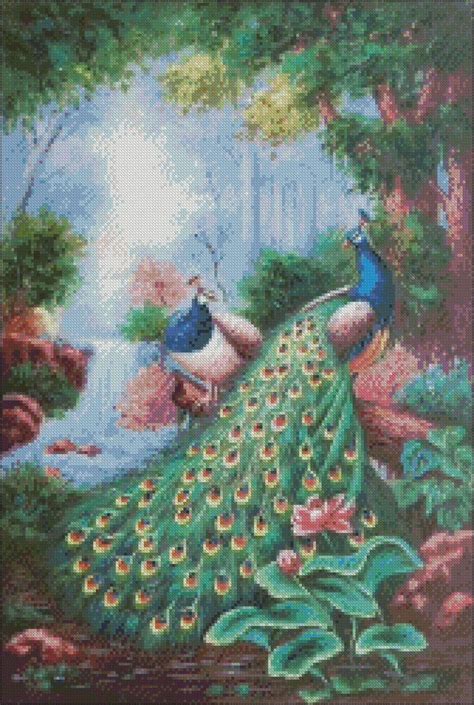 Ca168250005 Peacock Collection 8 Counted Cross Stitch Patterns