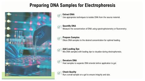Preparing Dna Samples For Electrophoresis Ppt Outline Acp Ppt Slide