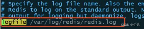 Redis 配置redis怎么配置 Csdn博客
