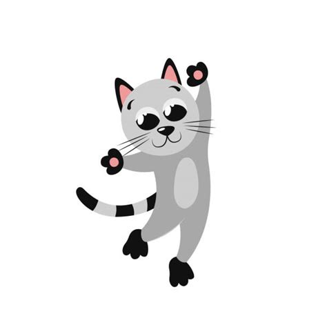 Cat Dancing Animation