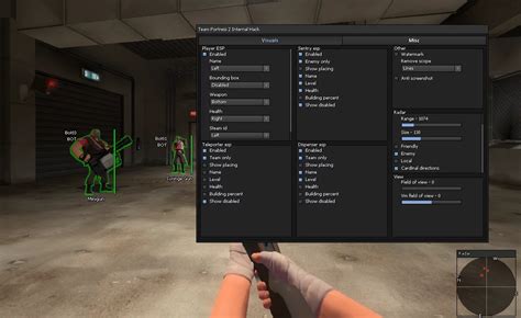 Team Fortress 2 Hack Outros DFG