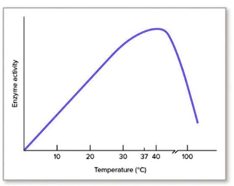[get answer] enzyme activity 10 20 30 37 40 100 temperature °c