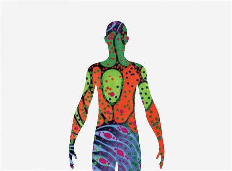 Nih To Build A Detailed Map Of Cells Within The Human Body National Institutes Of Health Nih