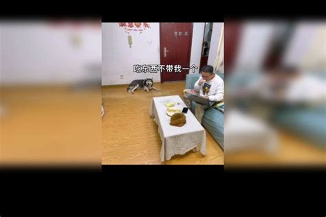 狗子：是我肤浅了，我从未见过比我还能吃臭东西的人东西