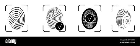Finger Print Icon Biometric Id Unique Scan Line Signature On White Background Touch Id