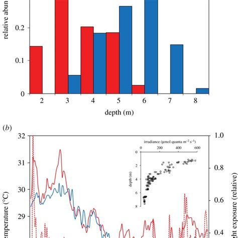 Relative Abundance Bar Plot Of Symbiodiniaceae Its2 Profiles Identified