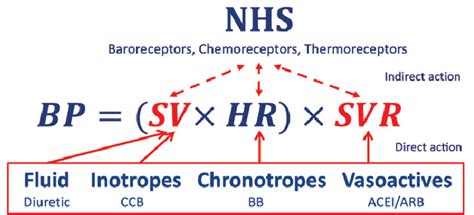 Different Therapies And Their Direct Action On Ch Parameters And The Download Scientific