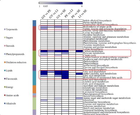 Kegg Enrichment Analysis Of All The Deps In Different Comparisons The