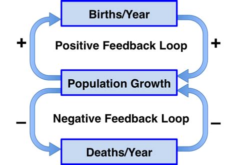 Feedback Loop Examples