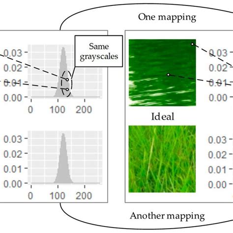 Matching Algorithms Of Scheme C” Take Images As Inputs And Histograms Download Scientific
