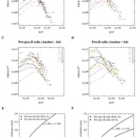 immunoglobulin heavy chain topology and comparison to the self avoiding