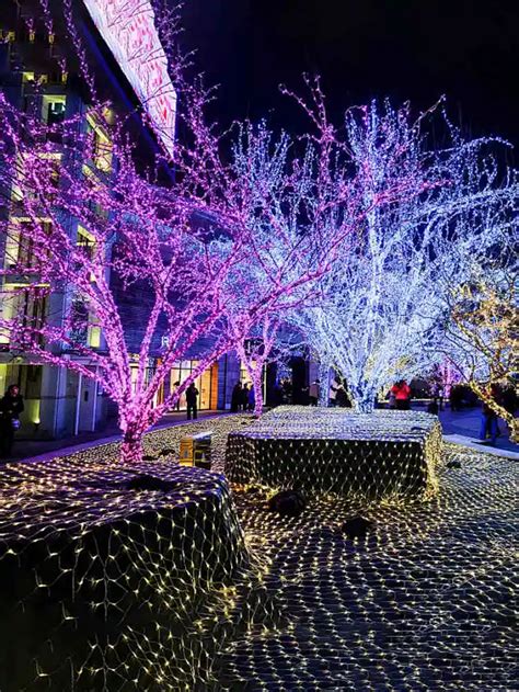 Led小彩灯闪灯串灯满天星渔网灯网红房间卧室布置装饰灯星星灯串 天猫 花瓣网