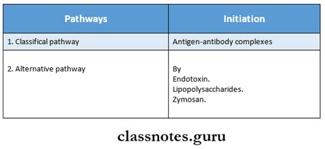 Immunology Complement System Class Notes