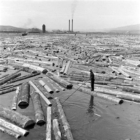 The Logging Life Gone Down The River LIFE