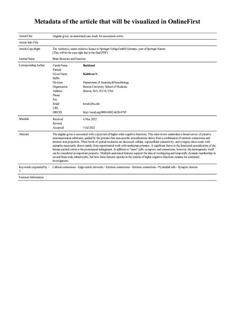 Pdf Brain Structure And Function Angular Gyrus An Anatomical Case