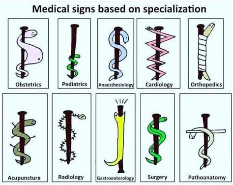 Nice Definition 😂 Erion Cela