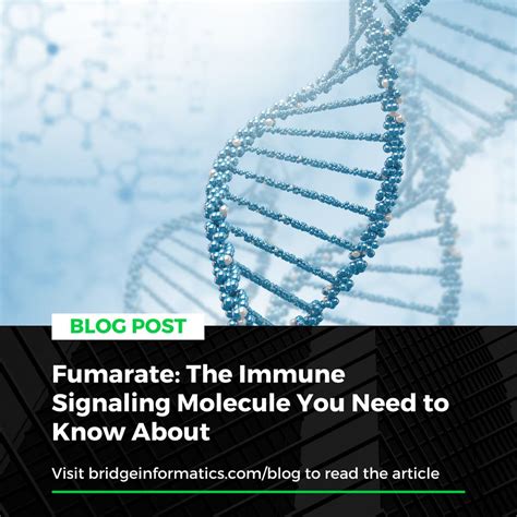 Bridge Informatics On Linkedin Immunology Bioinformatics