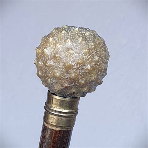 Proantic Corozo Nut Knob Cane Carved With An Owl With Glass Eyes