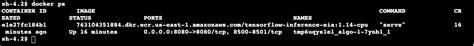 sagemaker notebook instance elastic inference tensorflow model local deployment stack overflow