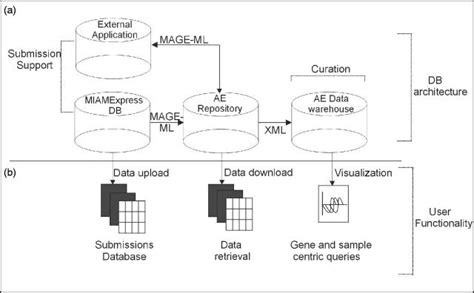 A The Arrayexpress Architecture And Database Side Activities Are