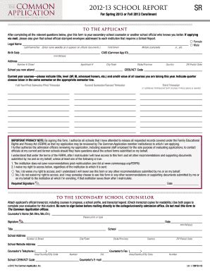 Css Profile Pdf Fill Online Printable Fillable Blank PdfFiller Worksheets Library