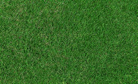 Як вивести плями від трави з одягу Читайте на Ukr Net