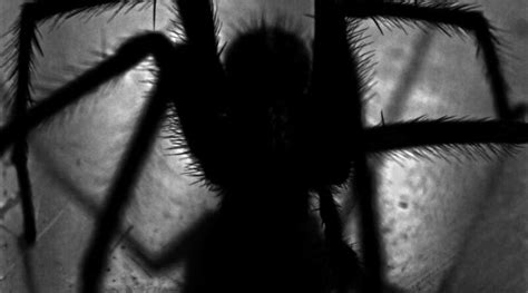 Best Practices For Scalable Web Themes Innovative Themes For The