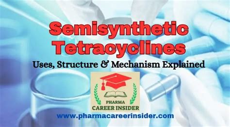 Semisynthetic Tetracyclines Everything You Need To Know About Minocycline And Doxycycline