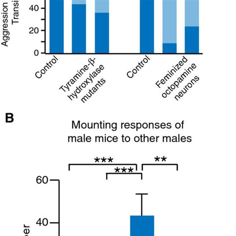 Sex Differences In Behavioral Decision Making And The Modulation Of