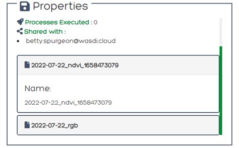 Workspace Management And Use — Wasdi Documentation Center Documentation