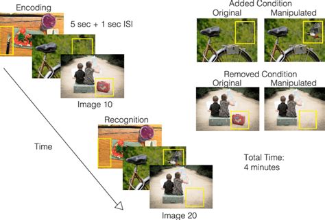 Visuospatial Memory Eye Tracking Test Vismet Participants Were Asked Download Scientific