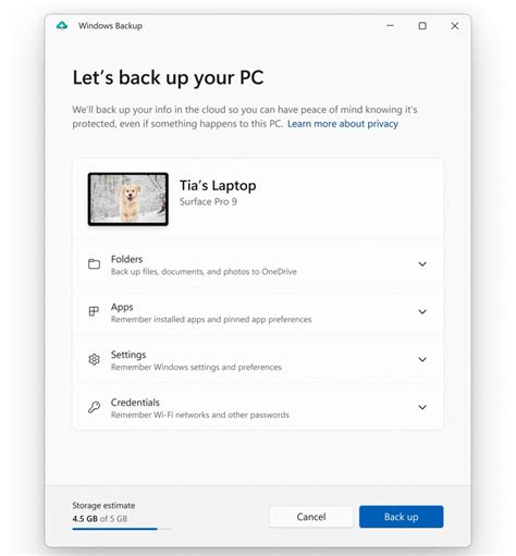 Microsoft Introduces Windows Backup App Available Now To Insiders On The Dev Channel Liliputing